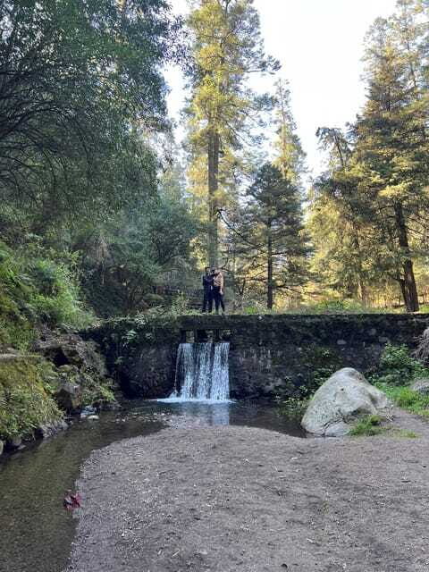 Mexico city: Hiking tour to Desierto de los leones - Final Thoughts