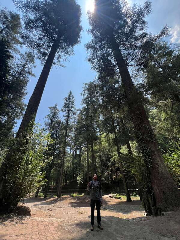 Mexico city: Hiking tour to Desierto de los leones - FAQ