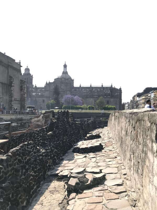 Mexico City: Historic Center VIP Tour with Templo Mayor - Contemporary and Cultural Highlights