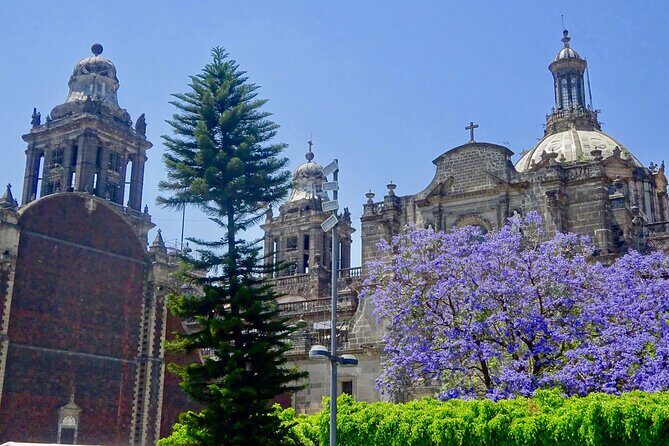 Mexico City History Tour with a Local Expert: 100% Personalized & Private - What You Can Expect from This Mexico City History Tour