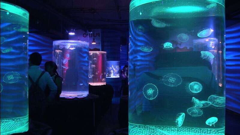 Mexico City: Inbursa Aquarium optional Round trip transfer - Key Points