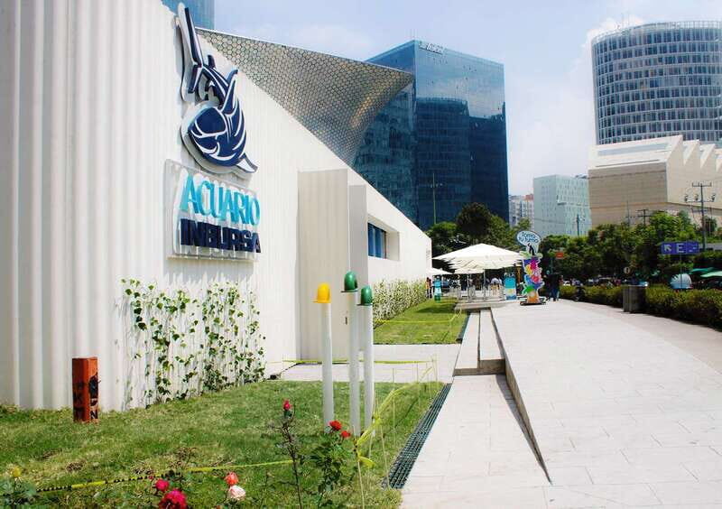 Mexico City: Inbursa Aquarium optional Round trip transfer - What to Expect from the Inbursa Aquarium Tour