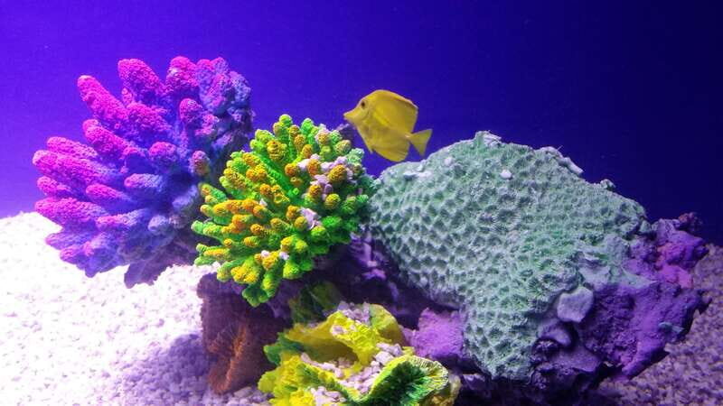 Mexico City: Inbursa Aquarium optional Round trip transfer - Transportation and Practical Considerations