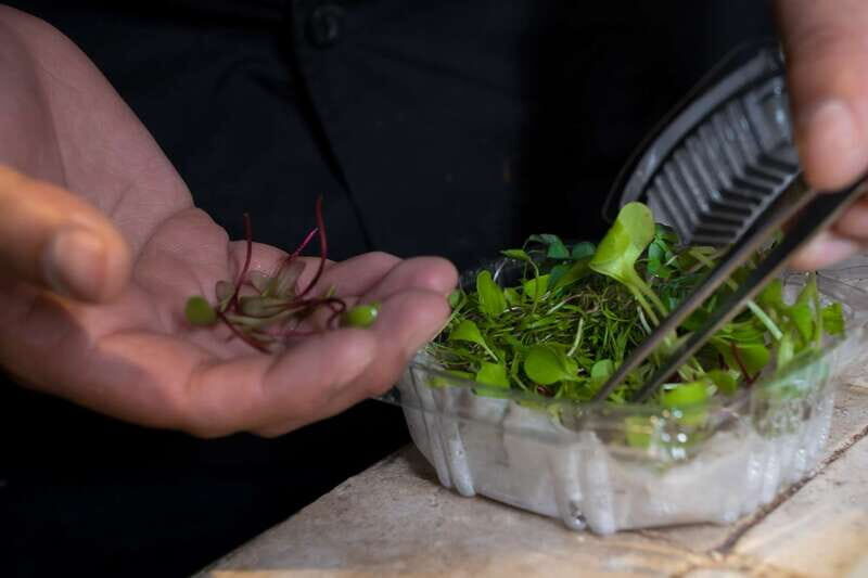 Mexico City: Mexican Cooking Class - Final Thoughts