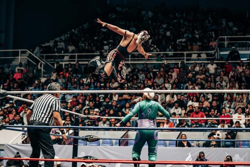 Mexico City: Mexican evening, lucha libre, and tequila - Mexico City: Mexican evening, lucha libre, and tequila