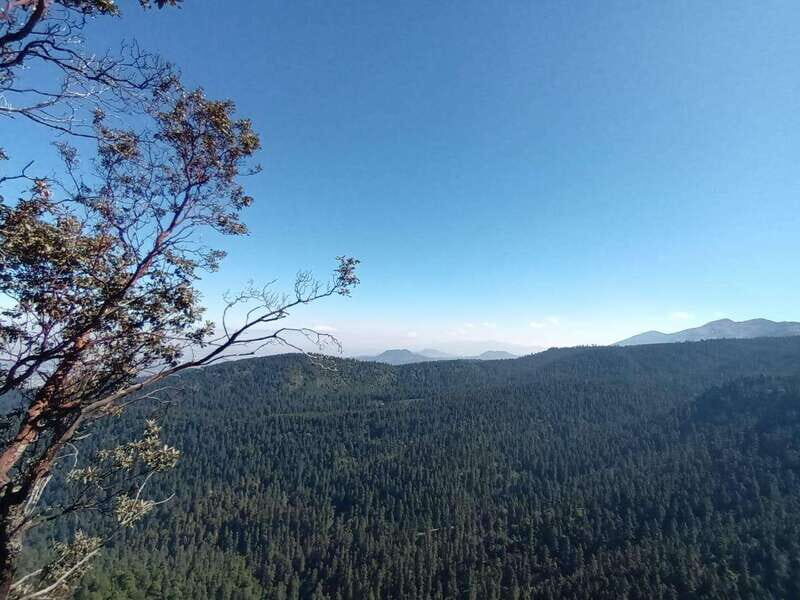 Mexico City: Morning Hiking at Mirador Coconetla - Exploring Mexico City’s Natural Charm: The Experience in Detail
