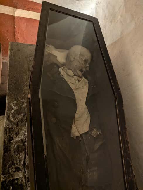 Mexico City: Museum of El Carmen Tour with Ticket - Key Points
