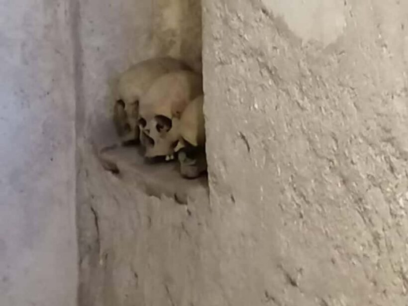 Mexico City: Museum of El Carmen Tour with Ticket - What is the Museum of El Carmen Tour All About?