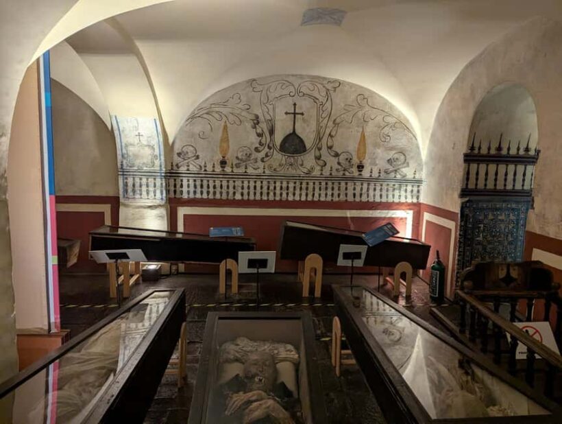 Mexico City: Museum of El Carmen Tour with Ticket - What to Expect During the Tour