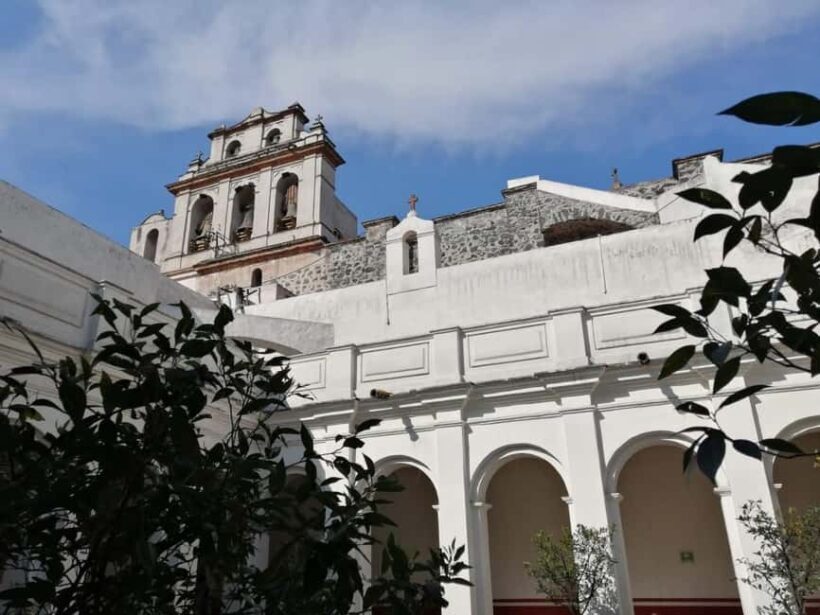 Mexico City: Museum of El Carmen Tour with Ticket - The Sum Up