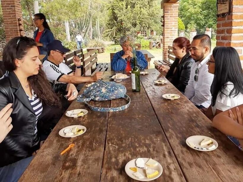 Mexico City: Private Cheese and Wine Tour to Queretaro - An In-Depth Look at the Tour
