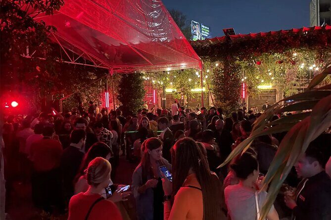 Mexico City Pub Crawl - Mexico City Pub Crawl: A Night to Remember