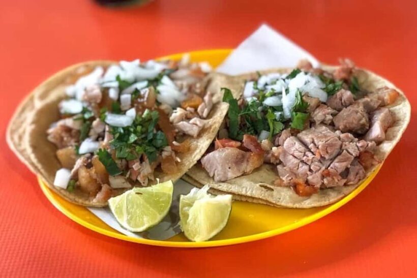 Mexico City: Taco Tasting Bike Tour in Polanco - Authentic, Fun, and Tasty: Who Will Love This Tour?