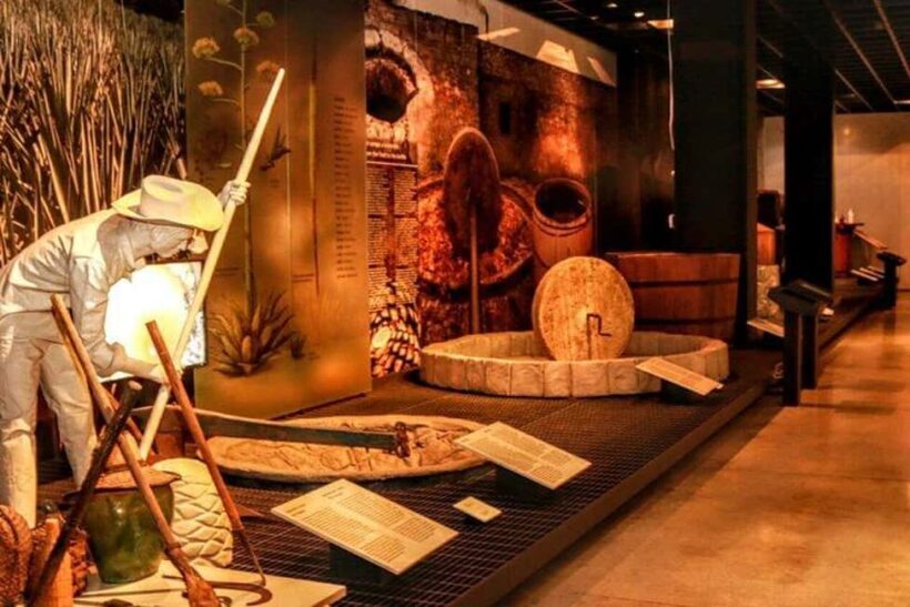 Mexico City: Tequila and Mezcal Museum Ticket with Tastings - The Starting Point and First Impressions