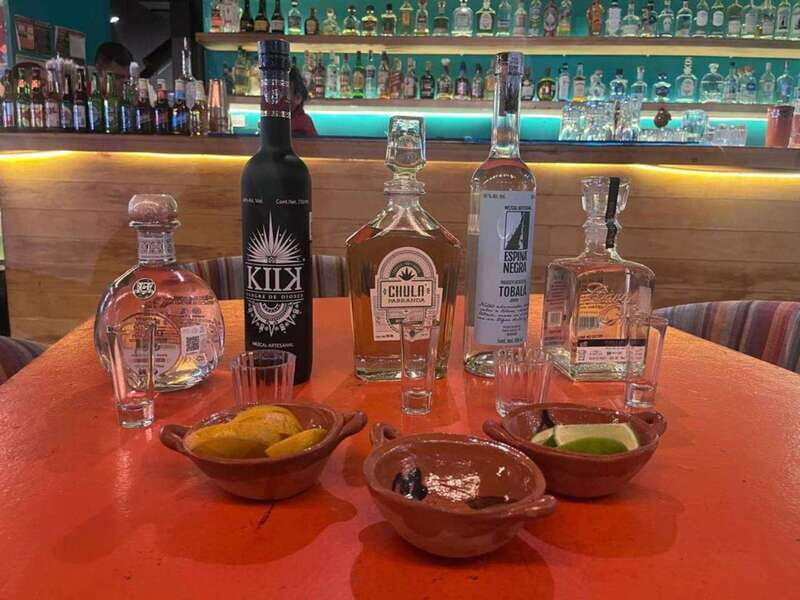 Mexico City: Tequila and Mezcal Museum Tour with Tasting - Key Points