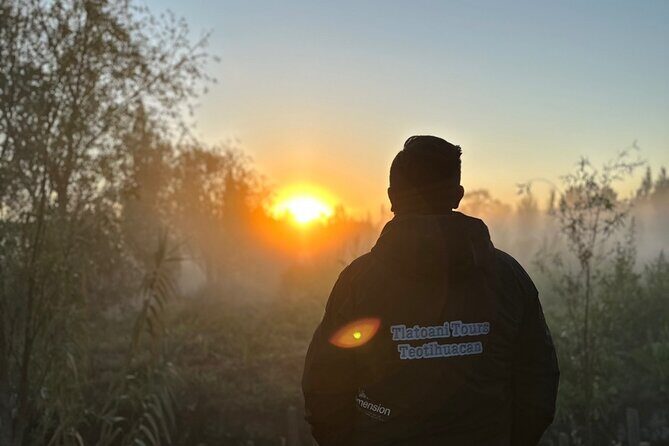 Mexico City: Xochimilco at sunrise + Breakfast and transportation - The Itinerary: From Darkness to Dawn and Beyond