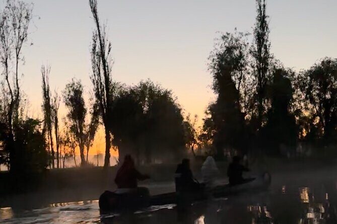 Mexico City: Xochimilco at sunrise + Breakfast and transportation - What Travelers Love About This Tour