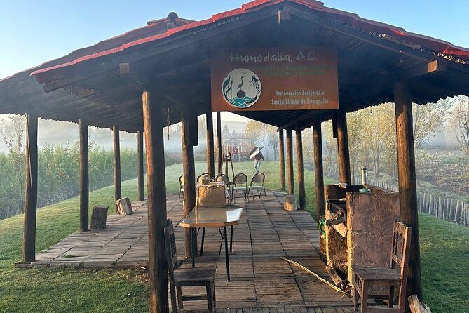 Mexico City: Xochimilco at sunrise + Breakfast and transportation - Practical Details and Value