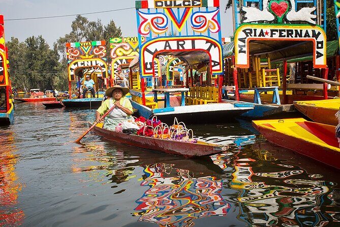 Mexico City: Xochimilco, Coyoacán and University City Tour - A Detailed Look at the Tour Experience
