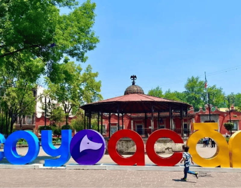 Mexico City Xochimilco Tour (Private & All-Inclusive) - The Practicalities: Comfort, Timing, and Value