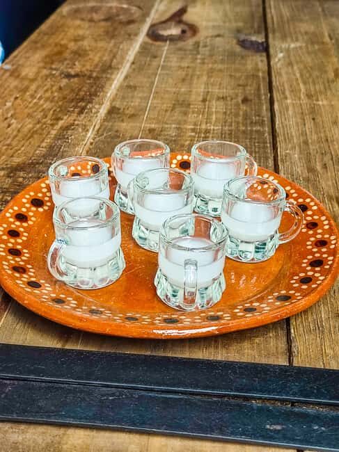 Mexico Off The Beaten Track/ Street Food Bike Tour - Why It’s a Great Choice for Certain Travelers