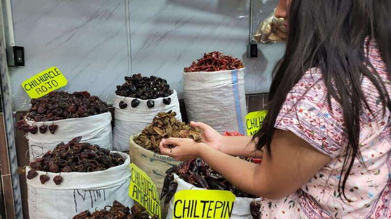 Mexico: Salsa Making Class in a Market with a Chef - The Value of the Experience