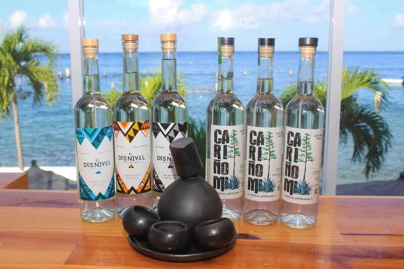 Mezcal and Tequila Tasting Room - What Travelers Love (and What to Consider)