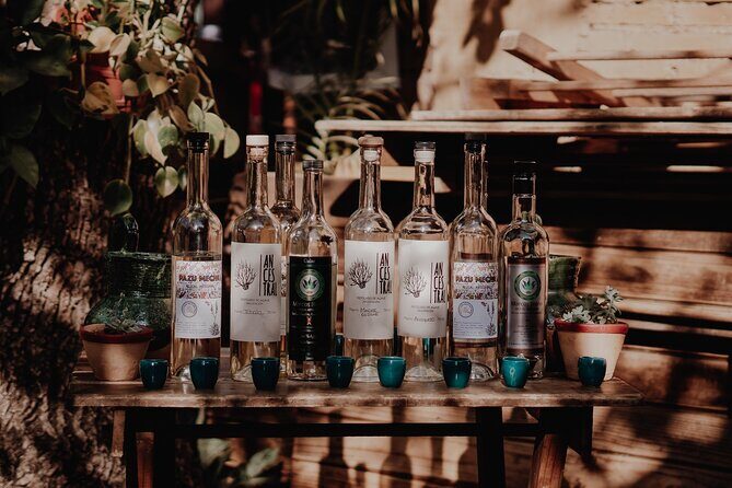 Mezcal & Mole by a Certified Sommelier - A Closer Look at the Tour Experience
