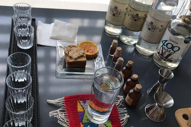 Mezcal & Tequila Tasting at Mexico City with full dinner - Who Would Love This Tour?