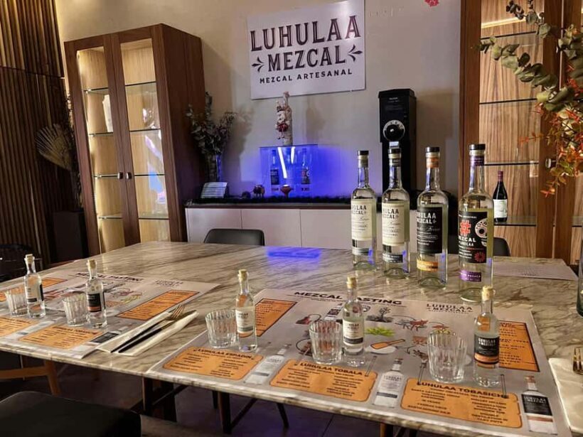 Mezcales tradicionales: Experiencia de Sabores con Historia - Introduction