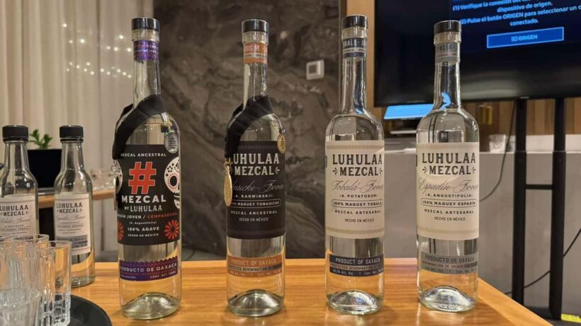Mezcales tradicionales: Experiencia de Sabores con Historia - The Experience in Practice
