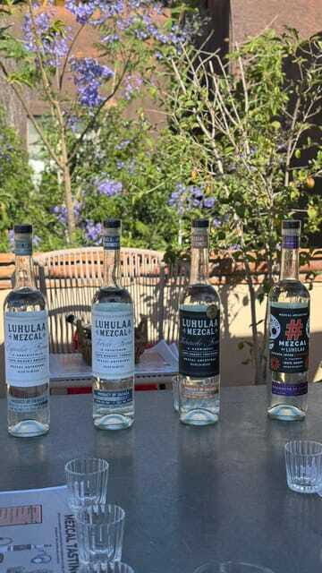 Mezcales tradicionales: Experiencia de Sabores con Historia - The Sum Up