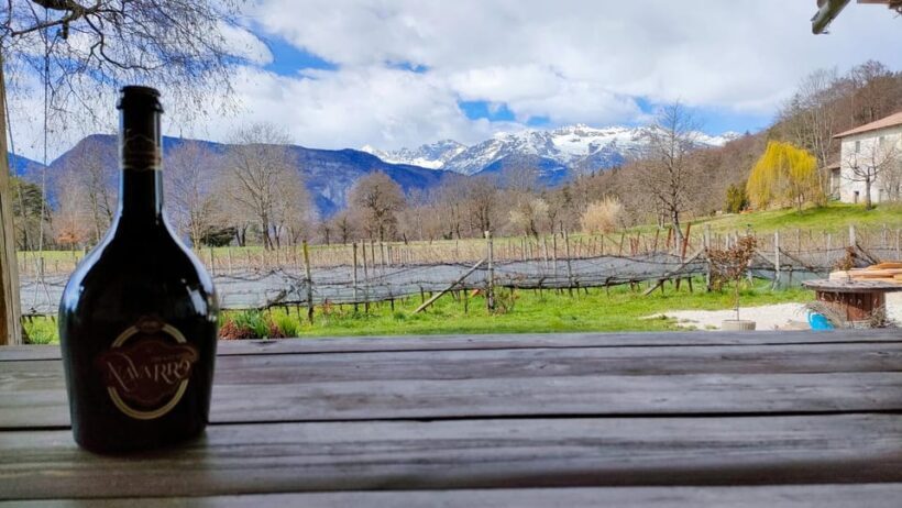 Mezzocorona: Scenic vineyard visit on Mount, tasting 3 wines - Value and Practical Considerations