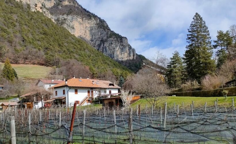 Mezzocorona: Scenic vineyard visit on Mount, tasting 3 wines - Who Should Consider This Tour?