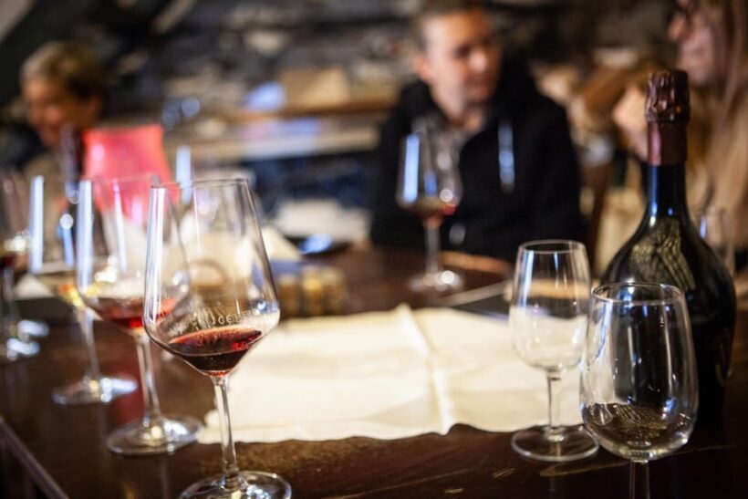 Mezzocorona: Scenic vineyard visit on Mount, tasting 3 wines - FAQ