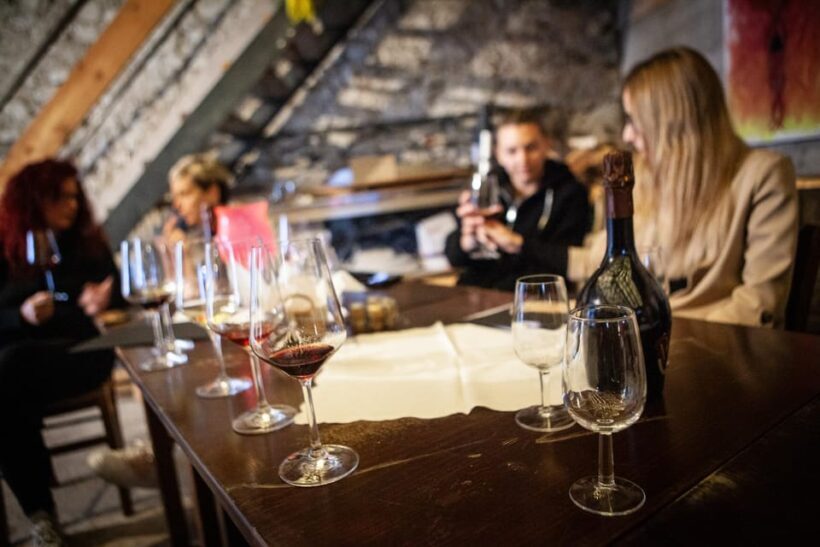 Mezzocorona: Teroldego Vineyard Tour and Wine Tasting - The Wine and Food Experience