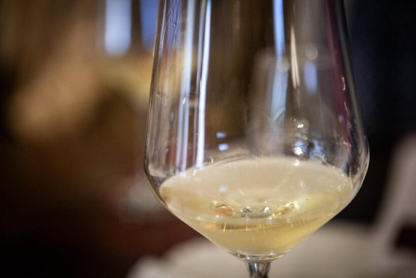 Mezzocorona: Teroldego Vineyard Tour and Wine Tasting - Who Should Consider This Tour?