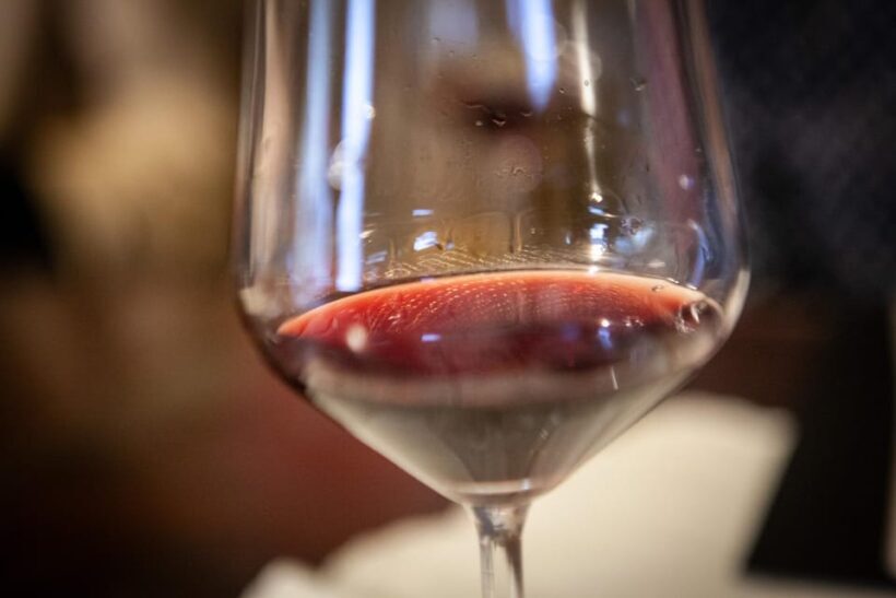 Mezzocorona: Teroldego Vineyard Tour and Wine Tasting - The Sum Up