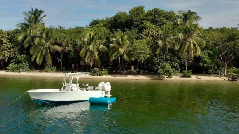 Miami: 4-Hour Island Hopping Boat Trip with Water Toys - Guides and Service Quality: The Human Touch