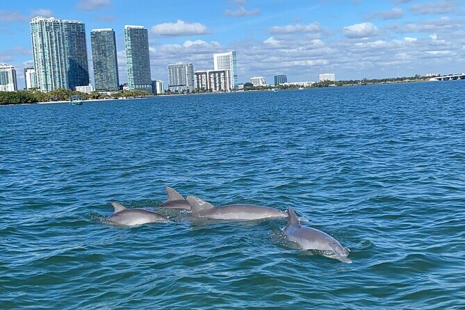 Miami: Aqua Excursion (Flyboard + Tubing + Boat Tour) - Who Should Consider This Tour?