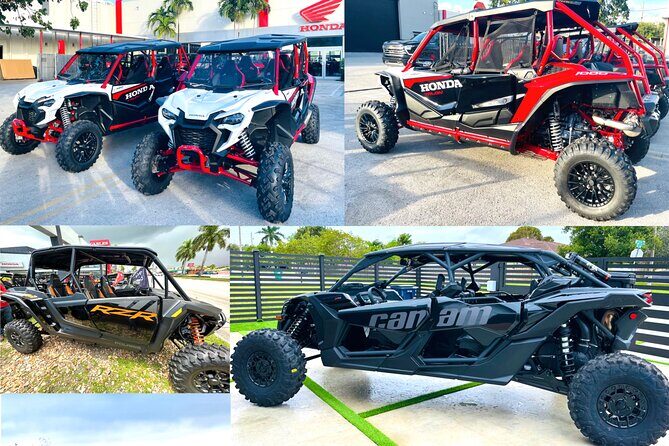 Miami ATV & Buggy Adventure- 5 Star Rated - The Bottom Line