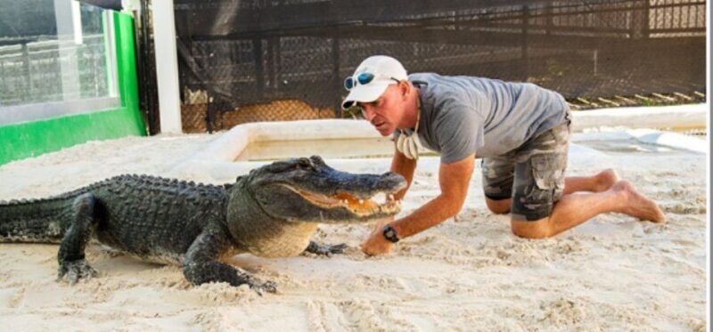 Miami Beach: Everglades Airboat Tours and Rides - What You Can Expect from the Tour Itinerary