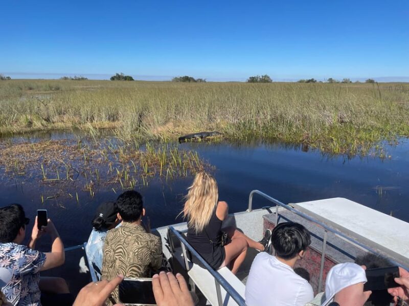 Miami Beach: Everglades Airboat & Wildlife Sanctuary - Key Points