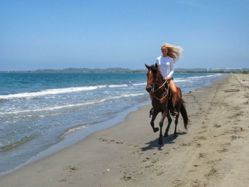 Miami: Beach Horse Ride & Nature Trail - Frequently Asked Questions