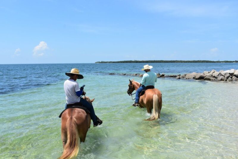 Miami: Beach Horse Ride & Nature Trail - Key Points