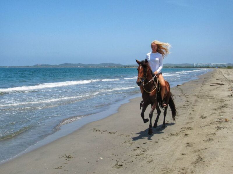Miami: Beach Horse Ride & Nature Trail - Who Will Appreciate This Tour?
