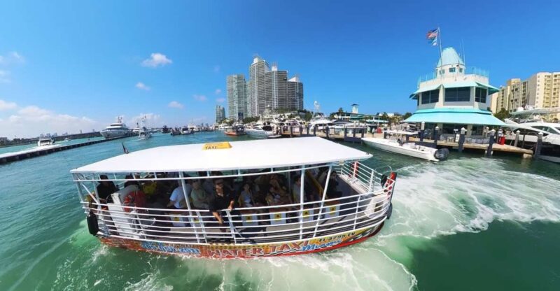 Miami-Beach & Miami Skyline Hop-On & Hop Off Boat Cruise - What to Expect During the Cruise