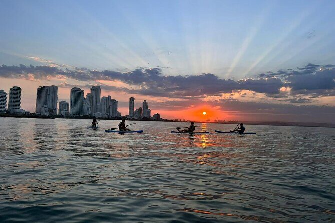 Miami Beach Paddleboard Rental with Instruction - Who Will Enjoy This?