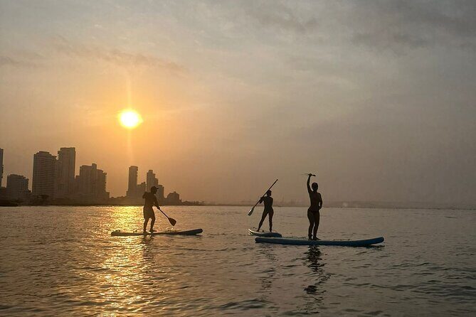 Miami Beach Paddleboard Rental with Instruction - FAQ