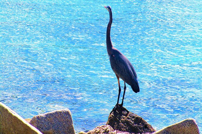 Miami Beach: South Point Park Tour - FAQ